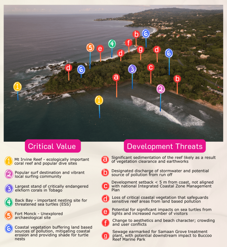 Rocky Point at Risk: The EIA You Need to Know About – SpeSeas